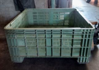 CASSONI IN PLASTICA STANDARD