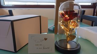 rosa eterna la bella e la bestia 