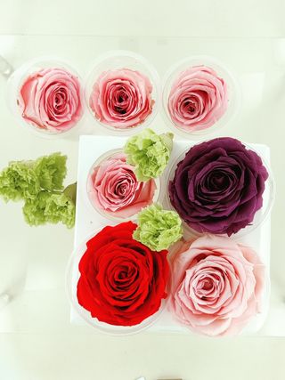 Fiori stabilizzati