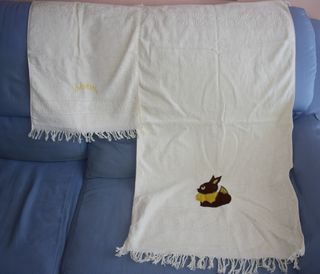 Set asciugamani viso + ospite in spugna Pokemon