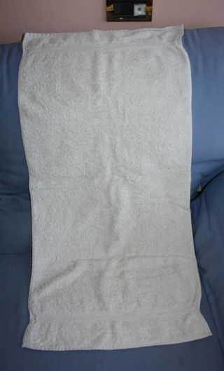 asciugamano viso in spugna 