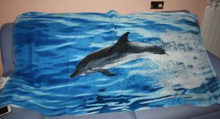 Telo mare Delfino