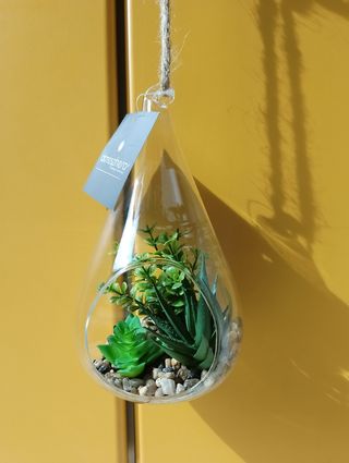 Composizione di piante artificiali in vaso in vetr