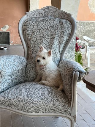 Poltrona shabby chic