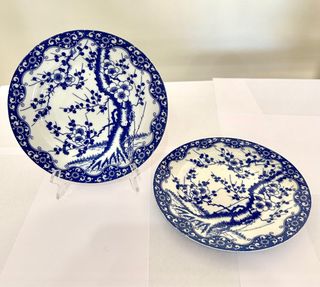 porcellana Giapponese bianca e blu