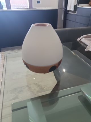 diffusore d'ambiente