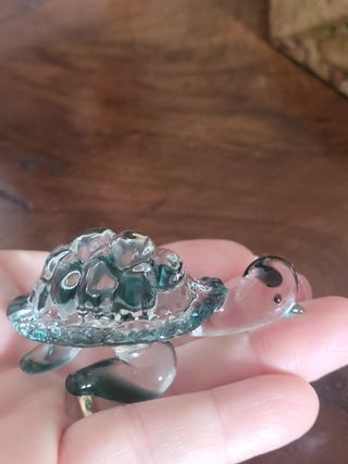 tartarughina decorativa