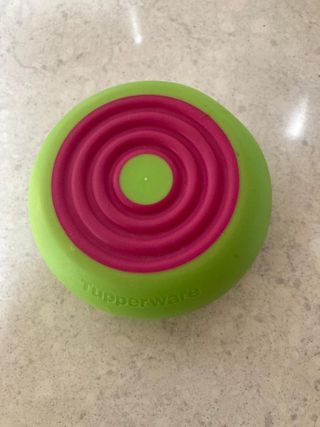 Conchiglia porta oggetti