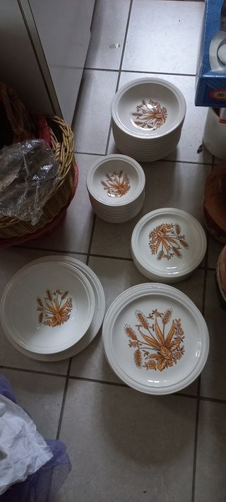 50 pezzi per questo servizio di piatti nuovo €50