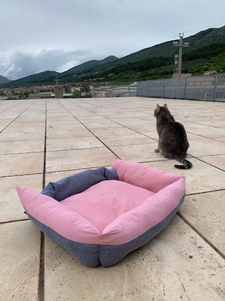 Cuccia per gatto o cane