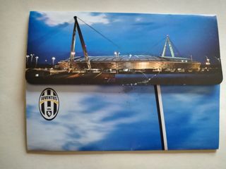 Juventus manto erboso stadio