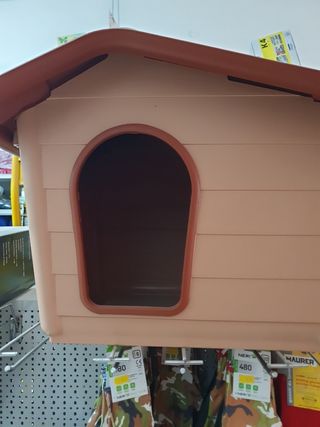 cuccia per cani di piccola taglia