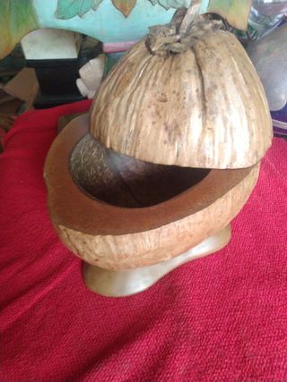 contenitore girevole coconut