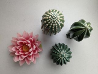 soprammobili cactus e candela con fiore di ninfea