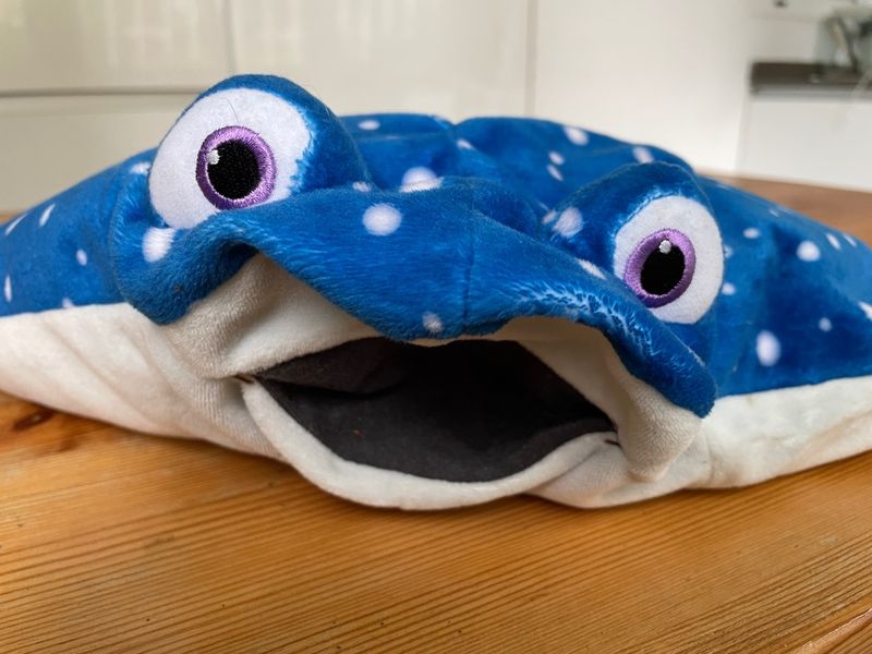 Finding Nemo Mr Ray Plush