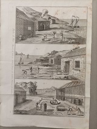 Lavorazione Sardine incisione originale 1765