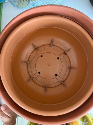 Vasi e sottovasi (lotto)