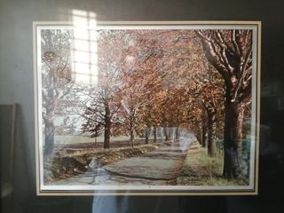 quadro paesaggistico