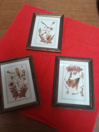 3Bellissimi quadri con fiori secchi E. 16,99 l'uno