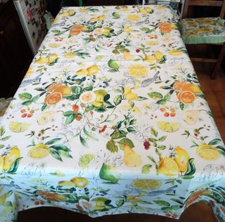 Tovaglia da 12 misura 150x270