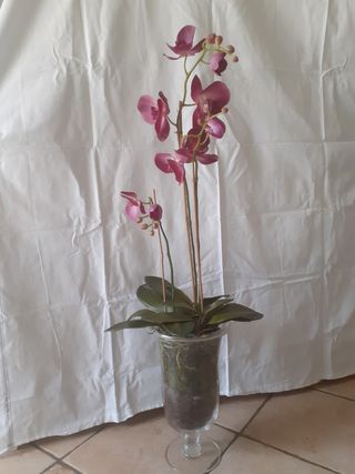 vasodi vetro con orchidea in lattice alta 90 cm
