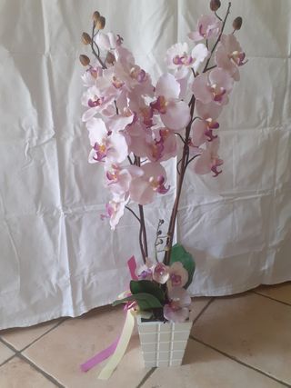 Bellissima orchidea in vaso bianco materiale in la