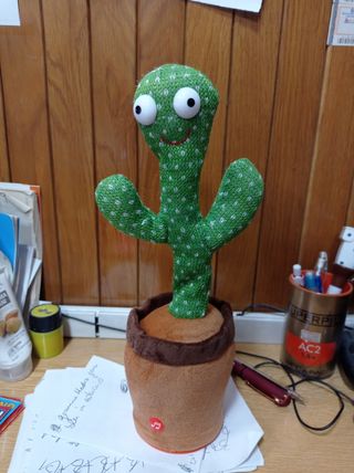 cactus ballerino