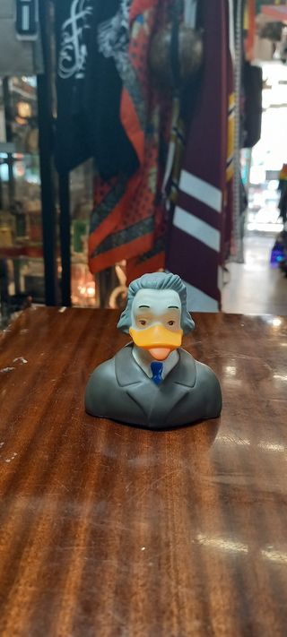 papera da collezione Einstein