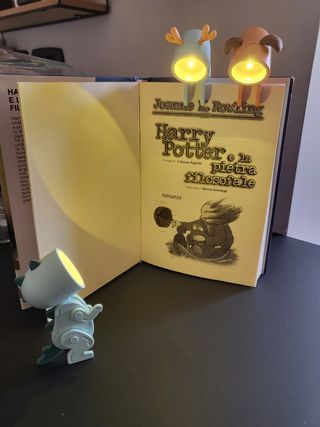 Set 2 lampade dinosauro + cane