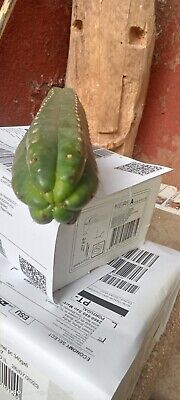 Mix di PIANTE Succulente a scelta.