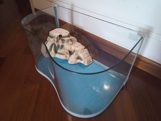 Tartarughiera grande in vetro spesso (QUALITÀ)