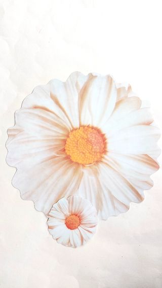 set 4 tovagliette + 4 sottobicchieri/tazze