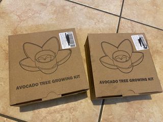 Kit coltivazione avocado 2 pezzi