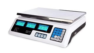 Bilancia Elettronica Digitale Professionale 40 KG