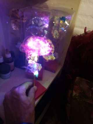 rosa  led light lampeggia o fissa