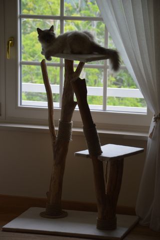 Tiragraffi in legno artigianale