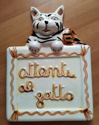 Mattonetta gatto