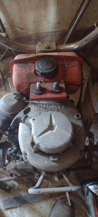 motozappa detto pulce