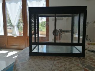 Terrario per rettili