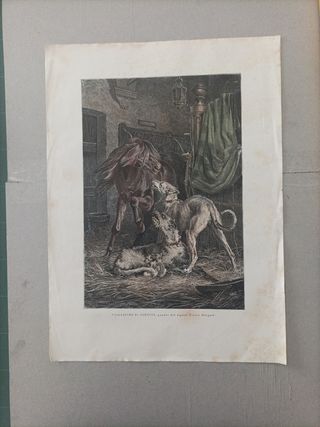 Cani nella stalla del Cavallo stampa antica