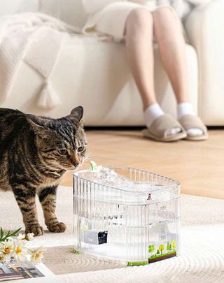 Waterer per animali domestici automatico.