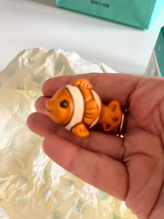 Pesce pagliaccio Thun piccolo