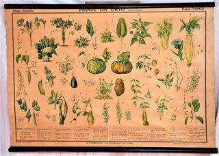 Mappa scolastica  Vintage Originale. Tavola Didatt