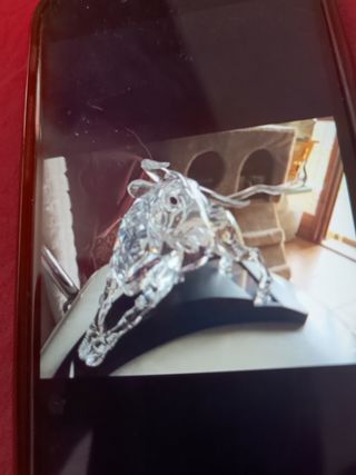 Swarovski Taro ed elefante