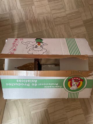 Caja con Libros antiguos y objetos de casa