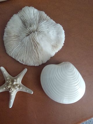 scatola piccola portaoggetti