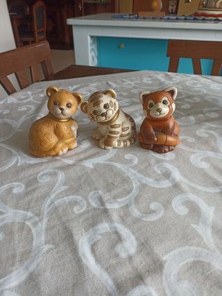 tris gatti Thun club 2013/2014/2015