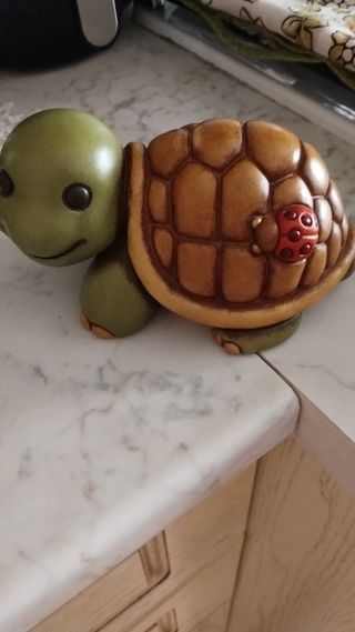 tartaruga Thun grande