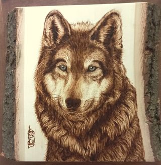 Pirografia di lupo