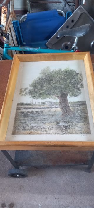 quadro disegnato firmato